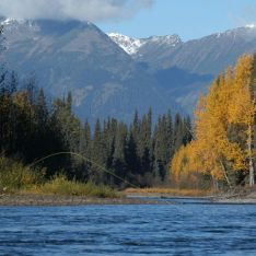 British Columbia Steelhead Valhalla Lodge - Gallery