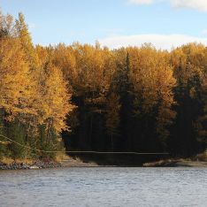 British Columbia Steelhead Valhalla Lodge - Gallery